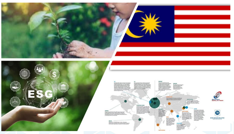 ESG and Investors - ESG Disclose Limited